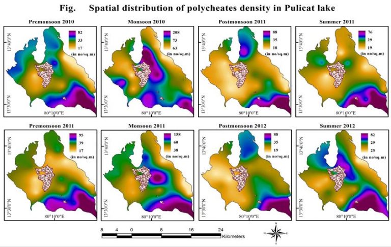 Diversity of Polychaetes in Pulicat Lake – JSCMWR